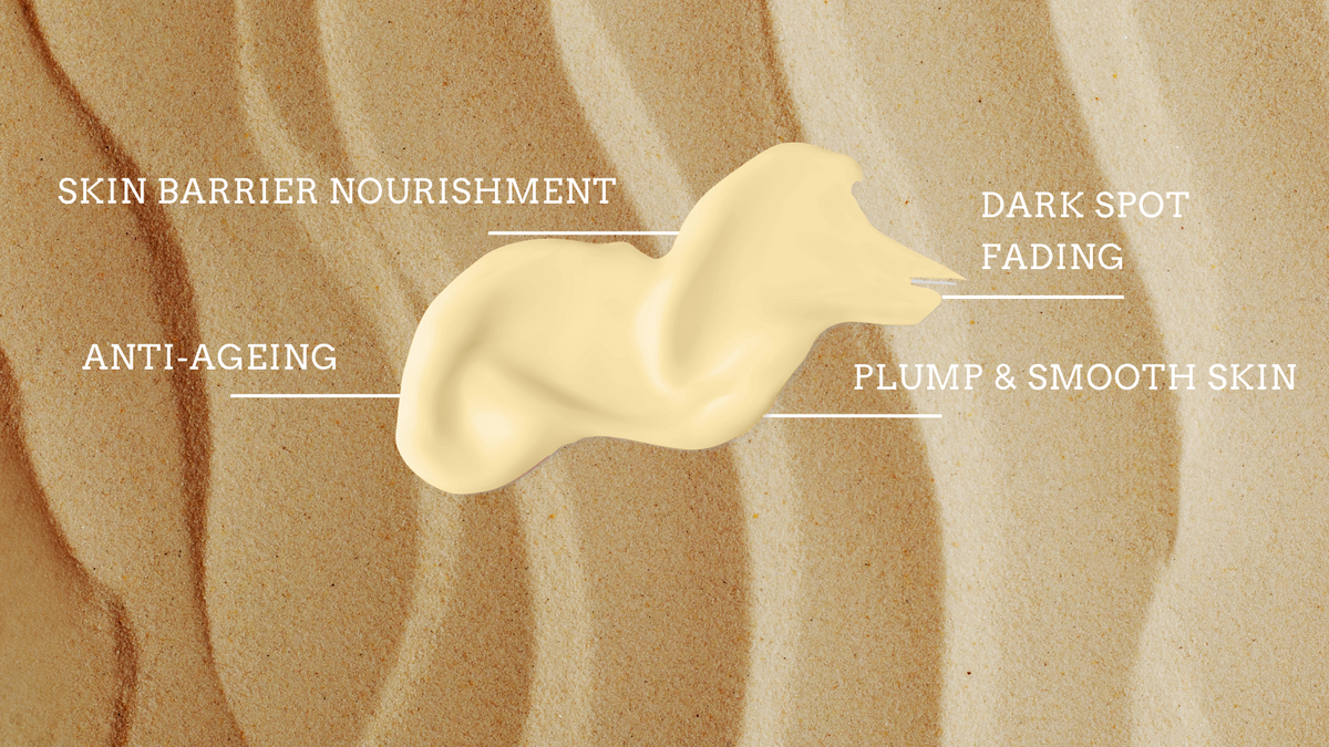 KAASHI | Advanced Ayurveda Skincare, Quality Formulation, Real Results